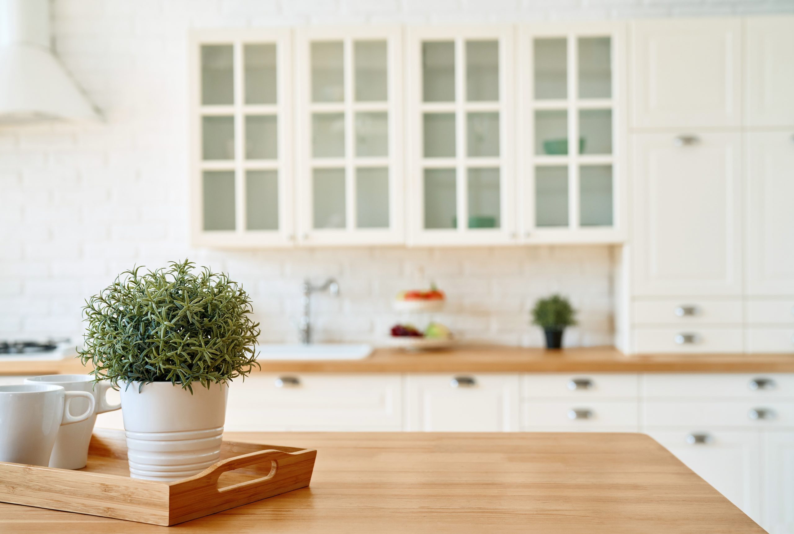 The Ultimate Guide to House Fly Control: Tips and Tricks for a Fly-Free ...
