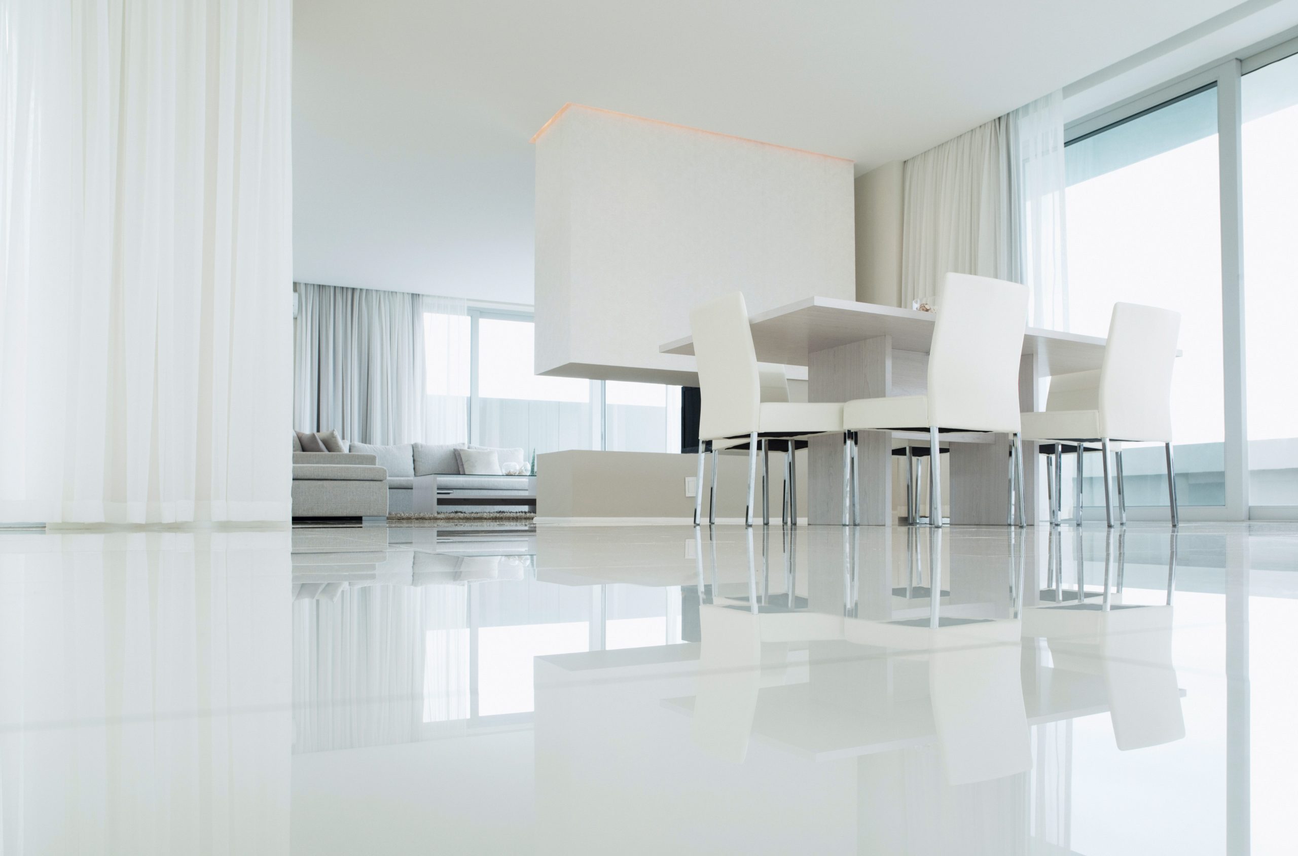 Top Questions to Ask Your Pest Control Provider | Birch Fumigators